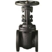 Beric Valves